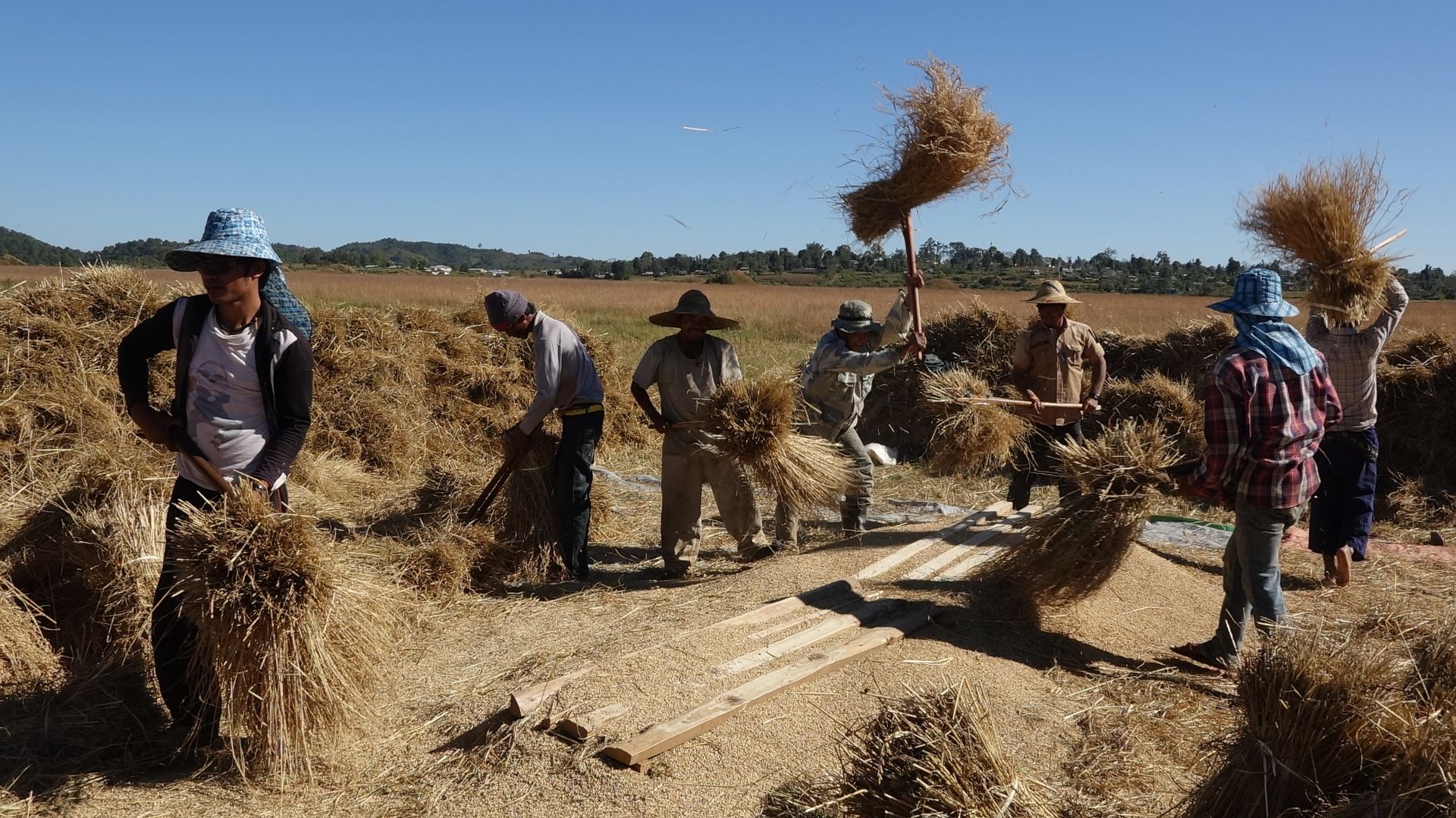 Lazarus-Fonds: 2014: Loilem, Myanmar
